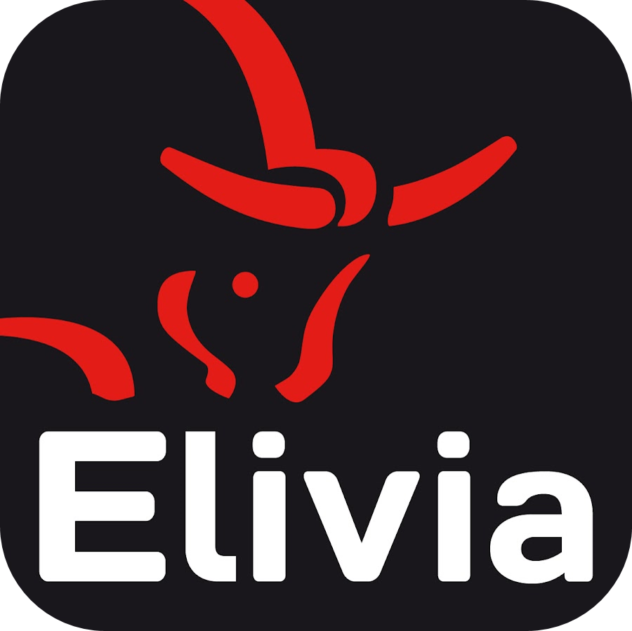 BUT Qualité Logistique Industrielle et Organisation (QLIO)